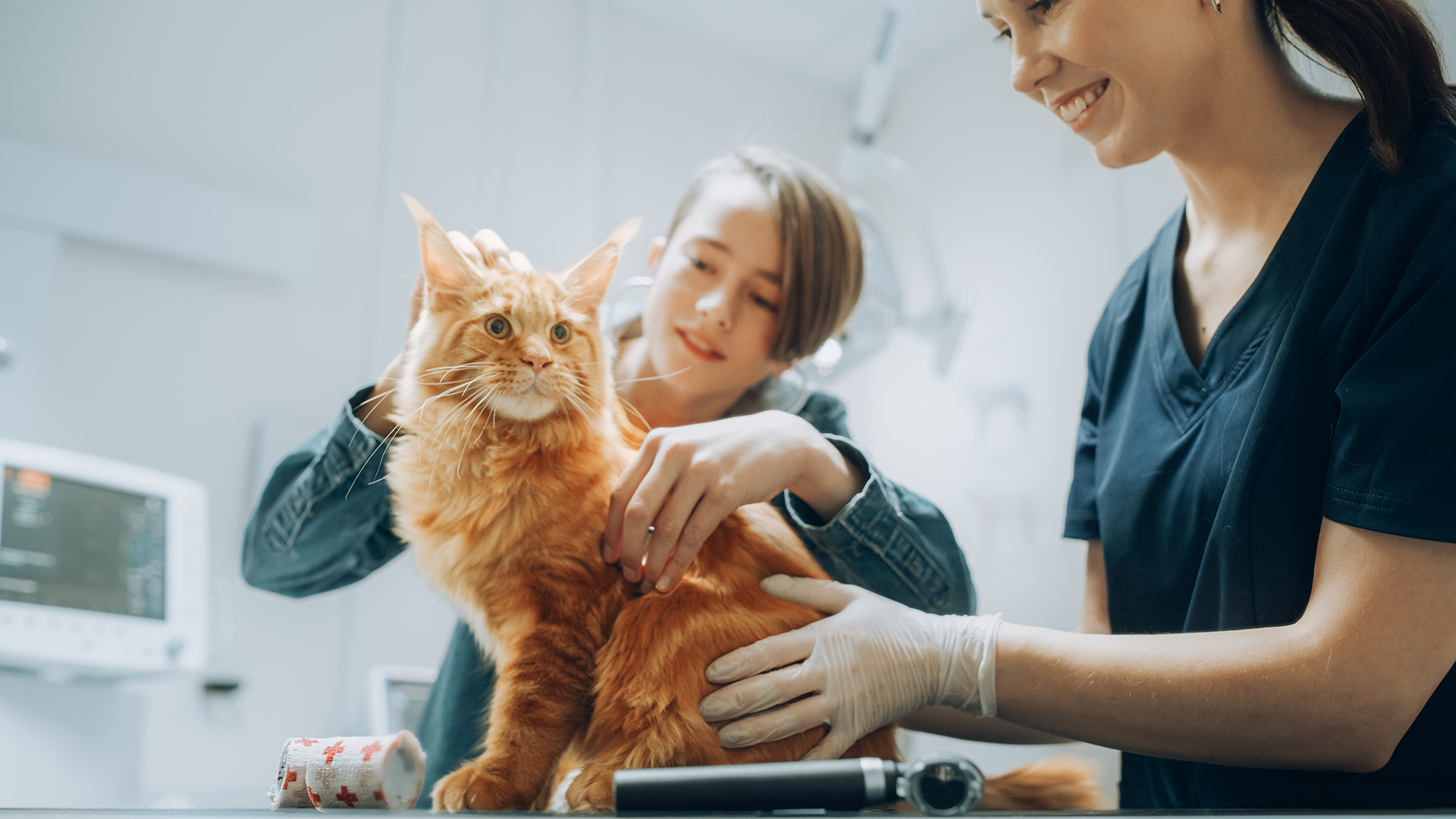 Why KC Animal Health - OneKC